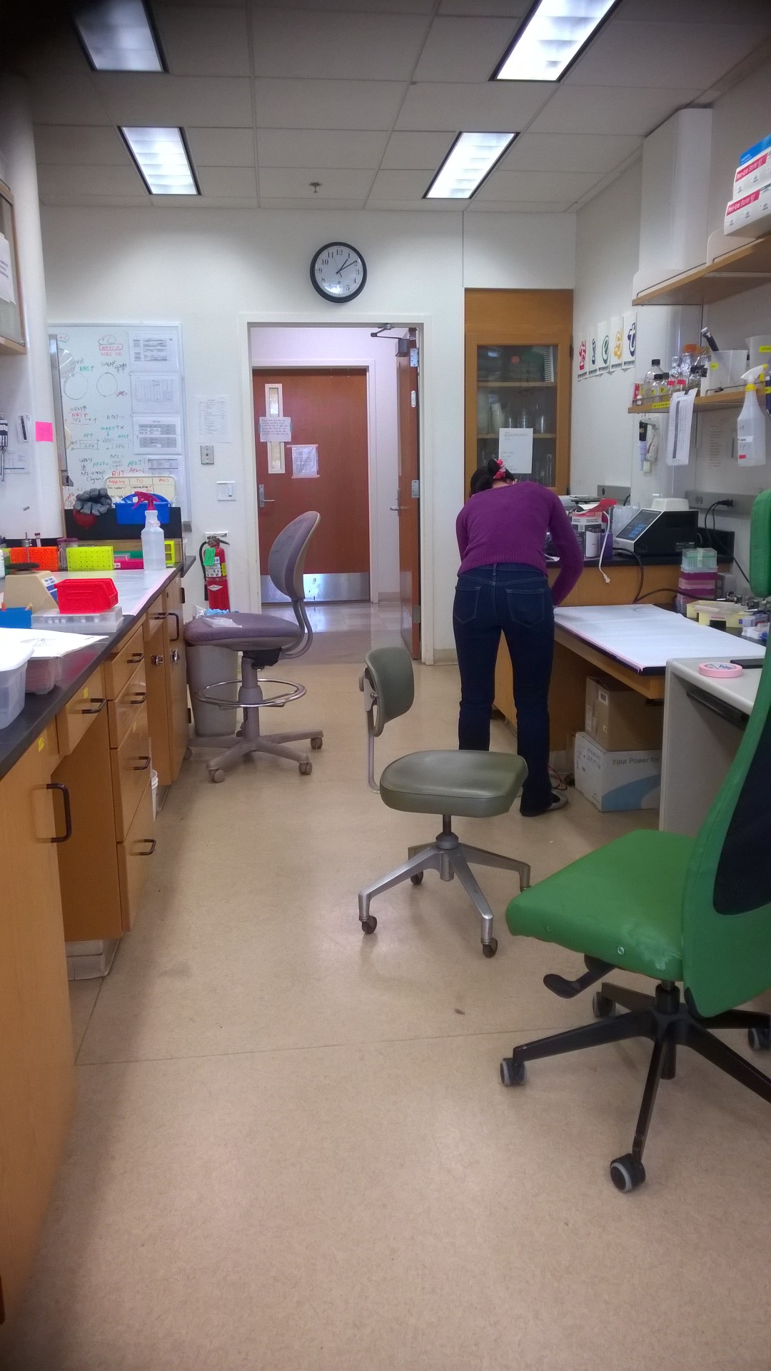 Gallery – Sinha Lab