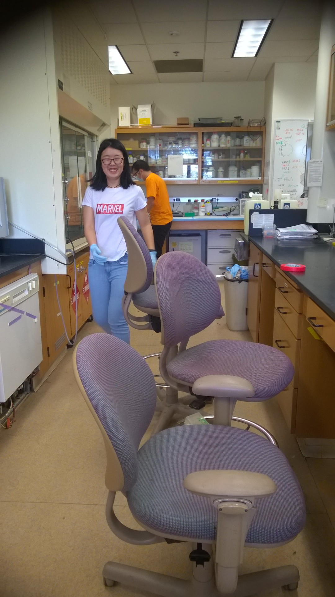 Gallery – Sinha Lab