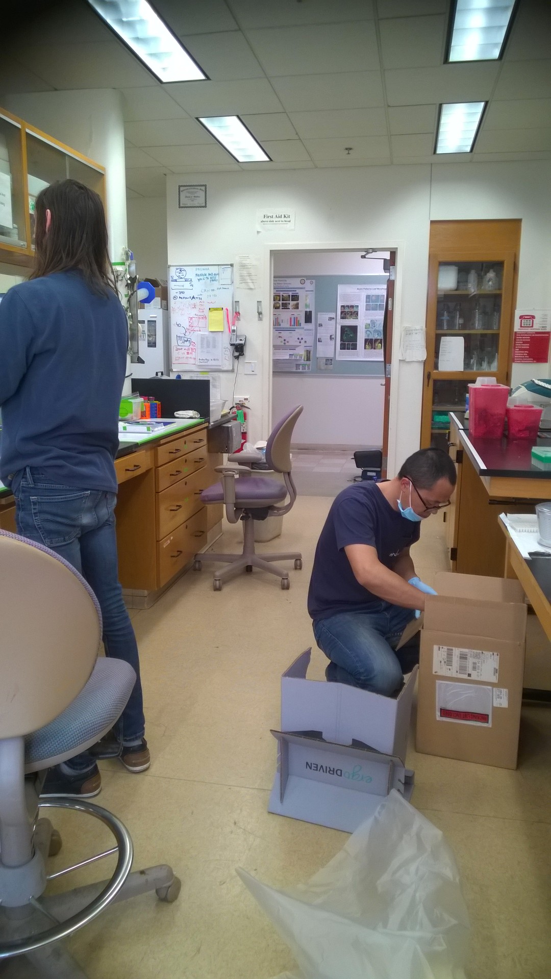 Gallery – Sinha Lab